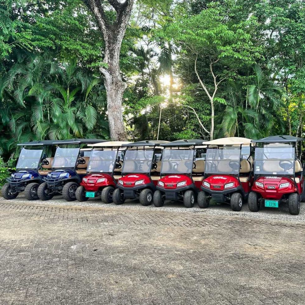Tamarindo Golf Cart Rentals - Best Quality Golf Cart