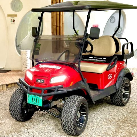 Golf Cart Rental Tamarindo - Tamarindo Cart Rentals
